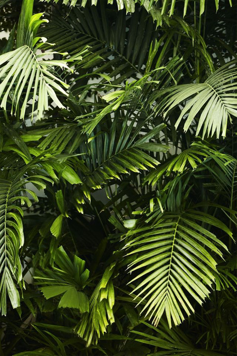 Carla 🍒 @carlaa_cuhhh Leak OnlyFans - LeakedOnlyF